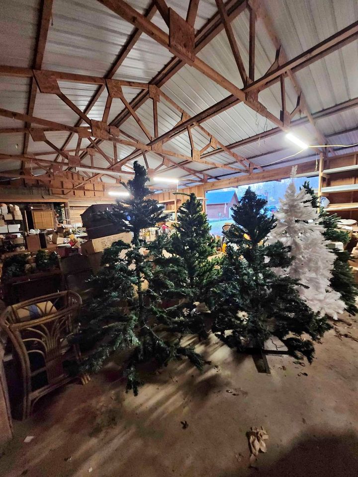 5 free Christmas tree's - Freebie Alerts